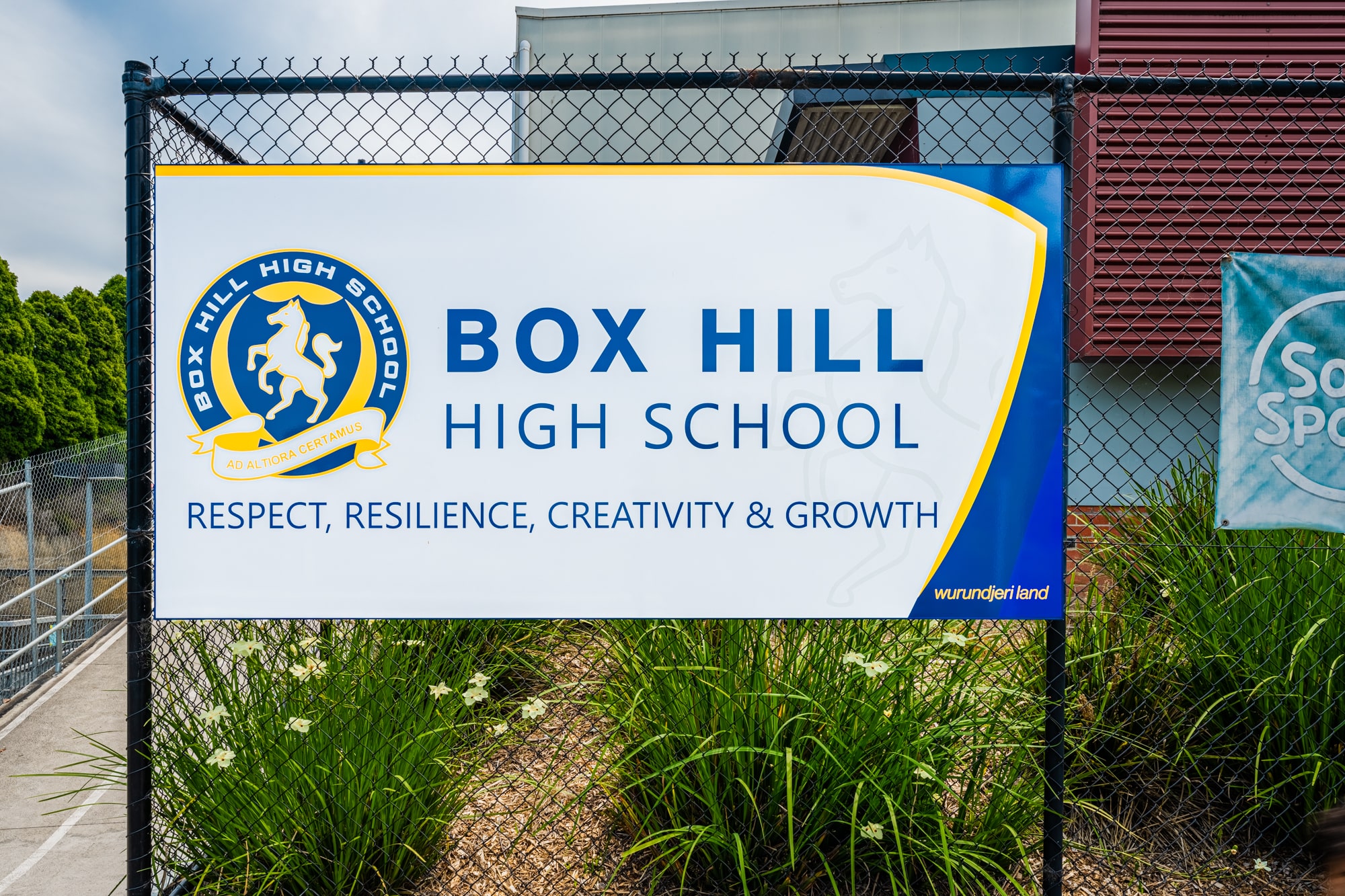 Box Hill High School